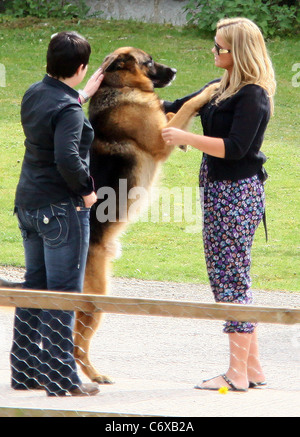 Kerry Katona playing with German Shepherd dog near her house Sussex ...