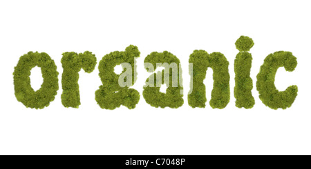illustration of grassy word organic, isolated on white background Stock ...
