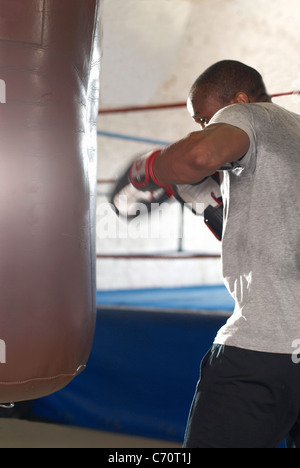 Boxer in gym using a speed ball punching bag Stock Photo - Alamy