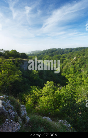 Ebbor Gorge, Somerset Stock Photo - Alamy