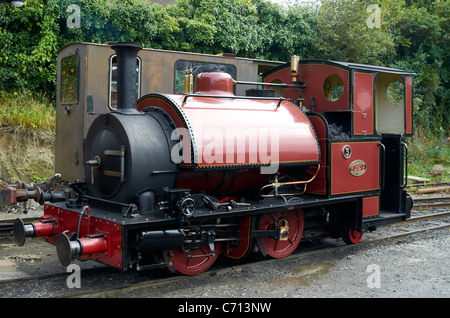 Talyllyn Railway loco No 3 in the guise of 'Sir Handel' for a children ...