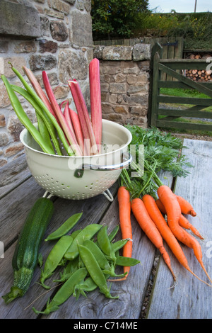 Home grown vegetables, carrots, runner beans and tomatoes fresh from ...