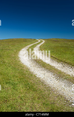 Tracks across grass field on sandy ground in early June, near Nemetker ...