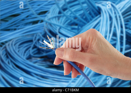 hand holding cat 5 network cable in fingers Stock Photo - Alamy