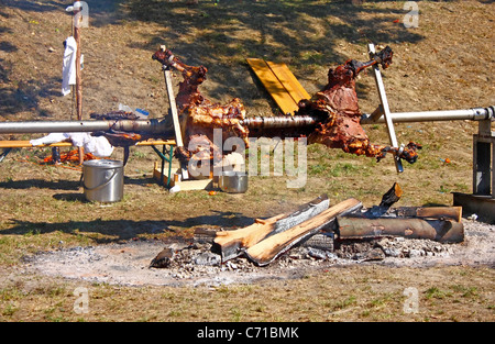 Roasting ox on a fire at a festival Stock Photo - Alamy