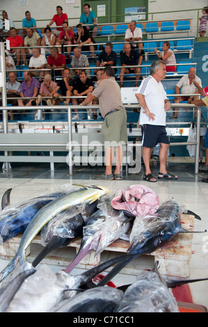 Fish market, Garrucha, Spain Stock Photo - Alamy