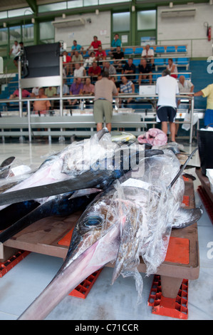 Fish market, Garrucha, Spain Stock Photo - Alamy