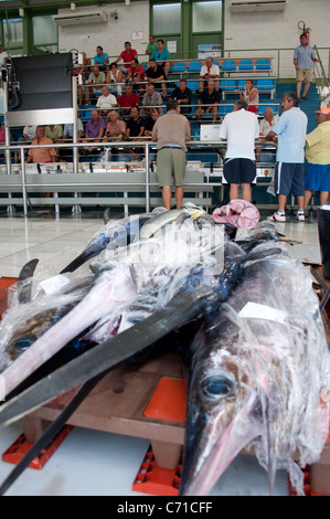 Fish market, Garrucha, Spain Stock Photo - Alamy