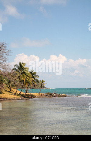 Sunny tropical beach at the Costa Arriba of Colon, Panama, in the ...