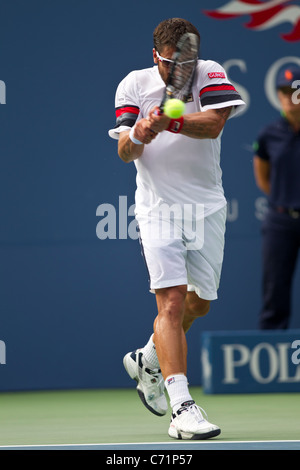 Serbian tennis player Janko Tipsarevic (left) and Czech tennis player ...