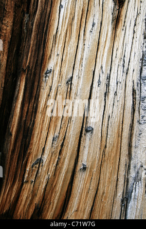 flaking splitting pine wood background texture Stock Photo - Alamy