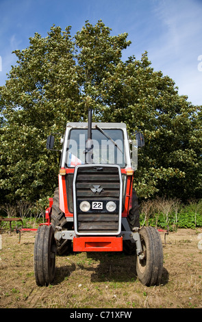 Massey Ferguson 575 2WD tractor seen here in Norfolk Stock Photo - Alamy