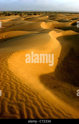Dunes of Khuri Rajastan Stock Photo - Alamy