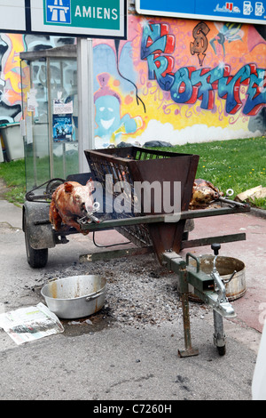 Spit roast in the street Pigs roasting on an open spindle barbeque ...