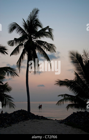 Tropical ocean sunset with boats and palm trees silhouette in Punta ...