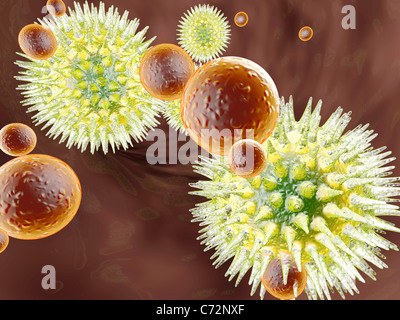 pathogen - infectious microorganism or agent Antibody and pathogen ...