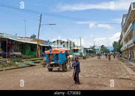 Daily life, Hosaina, Ethiopia Stock Photo - Alamy