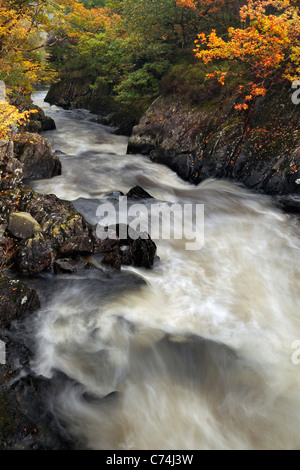 The Falls of Leny flow amidst the Autumn color near Callander in the ...