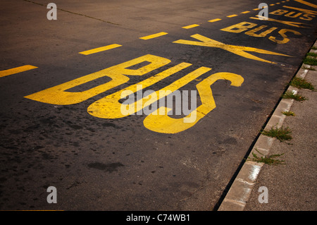 Yellow bus stop marking on urban asphalt road Stock Photo - Alamy
