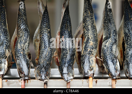Fish on a stick, traditional German food Stock Photo - Alamy
