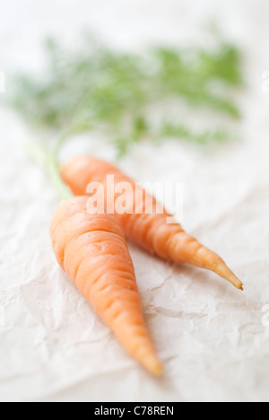 one fresh carrot Stock Photo - Alamy