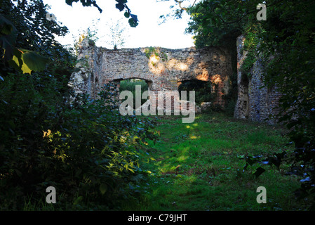 The ruins of Trowse Newton Hall at Whitlingham Country Park near ...