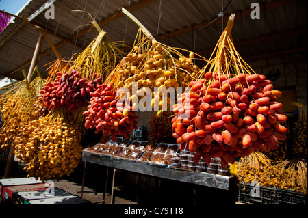 Dates on the stalk Stock Photo - Alamy