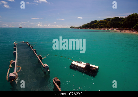 Poruma or Coconut Island Stock Photo - Alamy