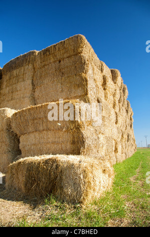 hay pile at the country of valladolid in spain Stock Photo - Alamy