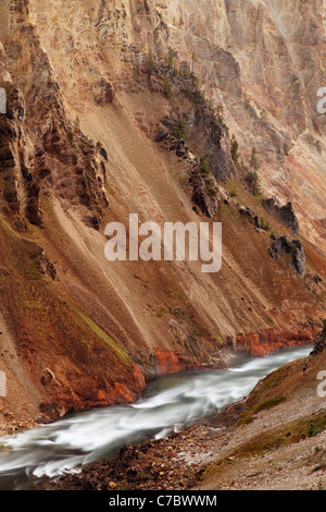Yellow cliffs above the Yellowstone River at bottom of Grand Canyon of ...