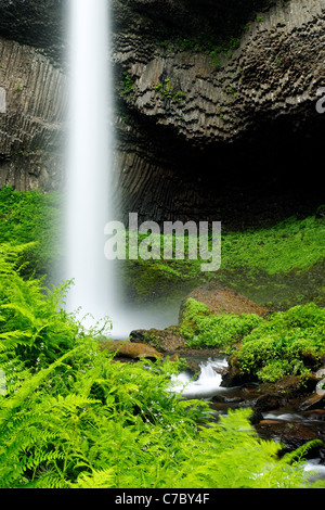 Latourell Falls falling over basalt cliff, Columbia River Gorge Stock ...