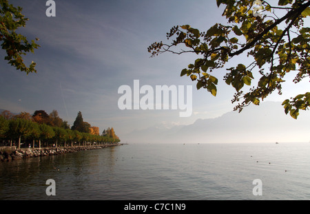 Geneva lake in autumn Stock Photo - Alamy