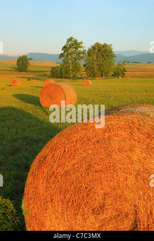 Farm, Swoope, Shenandoah Valley, Virginia, USA Stock Photo - Alamy