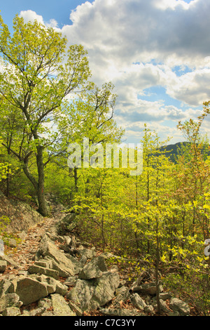 Signal Knob Trail, Massanutten Mountain, Waterlick, Shenandoah Valley ...