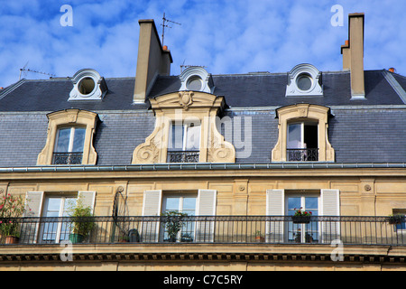France, Paris, zinc roof of Paris, Haussmannian building, 16th ...
