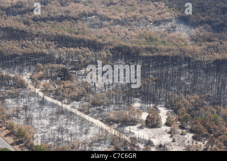 Aerial of fire damage in Bastrop County, Texas, where wildfires burned ...