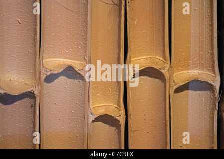 Bamboo Section, Half Cut, India Stock Photo - Alamy