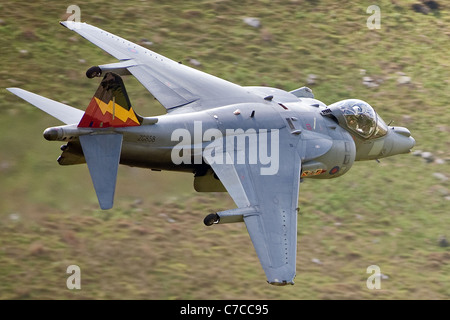 raf harrier low flying in the mach loop Stock Photo - Alamy