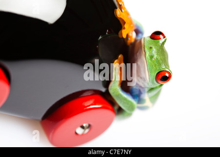 Frog on wooden toy car Stock Photo - Alamy