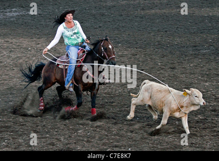 Woman rodeo rider calf roping USA Stock Photo - Alamy