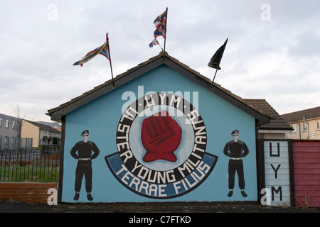 A mural to the Ulster loyalist paramilitary group the Ulster Volunteer ...
