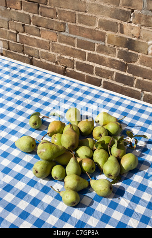 Freshly picked pears Stock Photo - Alamy