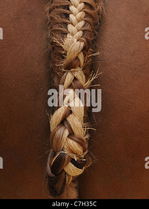 plaited tail of horse Stock Photo - Alamy