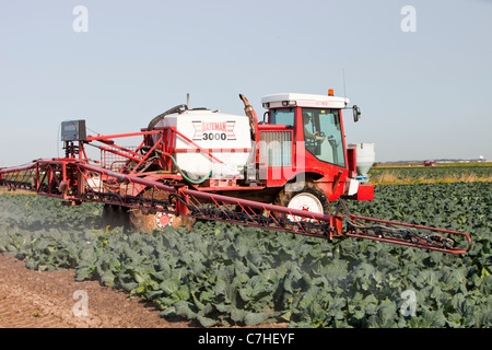 A farmer spraying his cabbages with Pesticide, Banks, Southport, UK. in ...