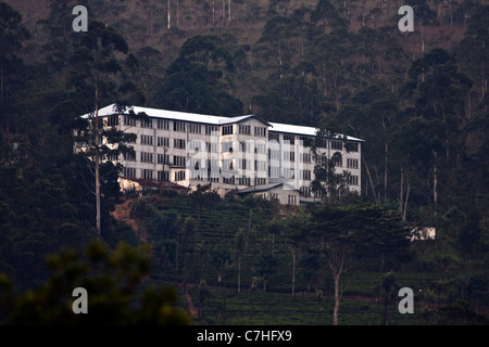 Norwood Tea Estate - Tea, Produce of Sri Lanka Stock Photo - Alamy