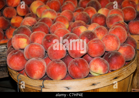 California White-Flesh Peaches Stock Photo - Alamy