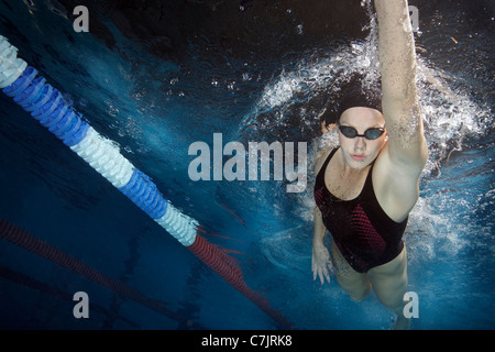 Swimmer doing front crawl in pool Stock Photo - Alamy