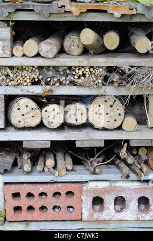 Bug home made with old pallet to attract beneficial insects into a ...