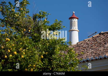 Portugal, Algarve, Silves, Lemon Tree & Chimney Stock Photo - Alamy