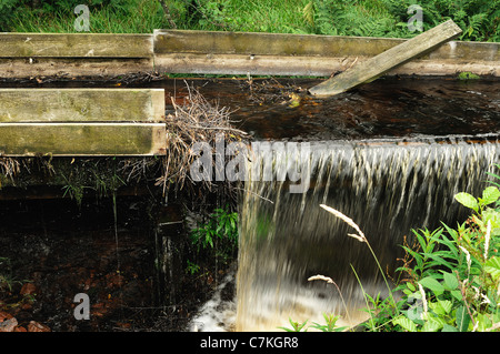 The Forest of Birse by the Bucket Mill near Finzean in Aberdeenshire ...
